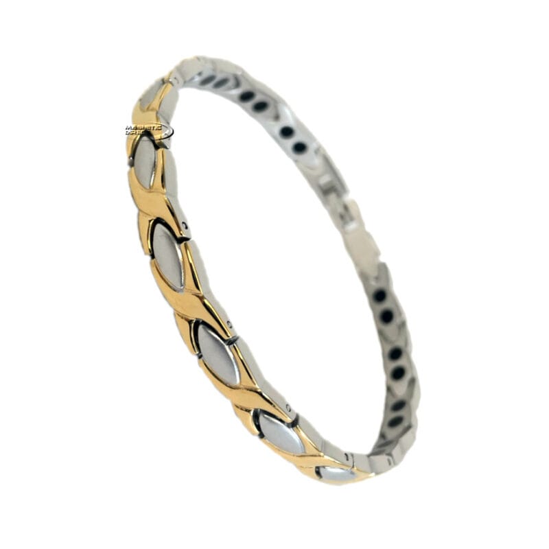 Stainless Steel Double Magnet Bracelet SD2 - Magnetic Direct